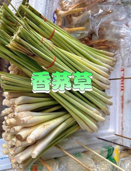 香茅吃哪个部位_香茅怎么吃最好-第1张图片-山城妙识