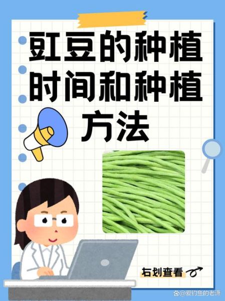 豇豆怎么种_豇豆种植时间和方法-第1张图片-山城妙识 豇豆怎么种_豇豆种植时间和方法-第1张图片-山城妙识